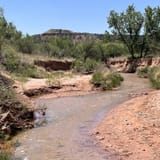 The Paseo del Rio Trail, Texas - 345 Reviews, Map | AllTrails
