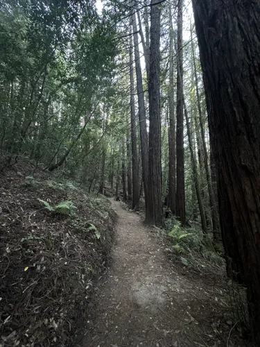 Best Hard Trails in Wunderlich County Park | AllTrails