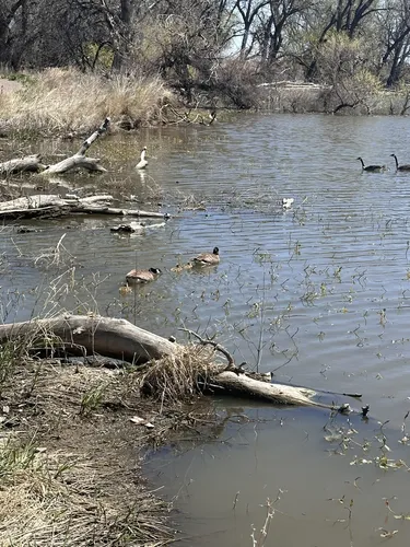 Best Lake Trails in Barr Lake State Park | AllTrails