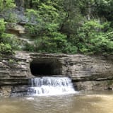 Narrows of the Harpeth Trail, Tennessee - 1,013 Reviews, Map | AllTrails