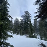 Mount Fromme via St. Georges Trail, British Columbia, Canada - 1,264 ...