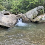 Rhododendron, Mont Chateau, Ridge, and Rock City Trail Loop, West ...