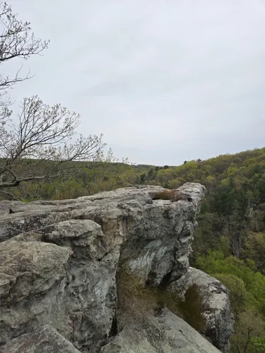 Rocks State Park: de beste routes om te wandelen | AllTrails