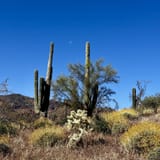 Second Water and Hackberry Spring Loop, Arizona - 2,026 Reviews, Map ...