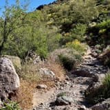 Second Water and Hackberry Spring Loop, Arizona - 2,026 Reviews, Map ...