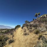 Panorama Loop, California - 3,011 Reviews, Map | AllTrails