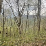 Hawksbill Loop Trail, Virginia - 4,398 Reviews, Map | AllTrails