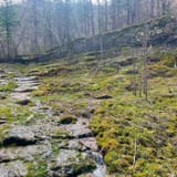 Botany Canyon, South Dakota - 549 Reviews, Map | AllTrails