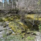 Botany Canyon, South Dakota - 549 Reviews, Map | AllTrails