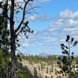 Botany Canyon, South Dakota - 549 Reviews, Map | AllTrails