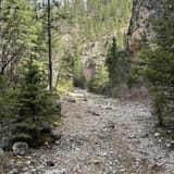 Botany Canyon, South Dakota - 549 Reviews, Map | AllTrails
