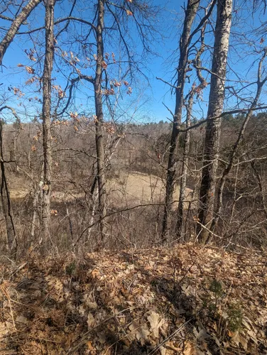 Best Bird Watching Trails in Luther | AllTrails