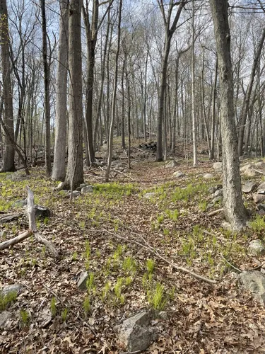 Best Long Trails in Ward Pound Ridge Reservation | AllTrails