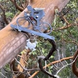 Wesley Ridge, British Columbia, Canada - 776 Reviews, Map | AllTrails