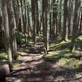 Wesley Ridge, British Columbia, Canada - 776 Reviews, Map | AllTrails