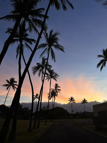 Best Paved Trails in Joint Base Pearl Harbor-Hickam | AllTrails