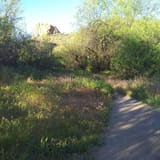 Second Water and Hackberry Spring Loop, Arizona - 2,009 Reviews, Map ...