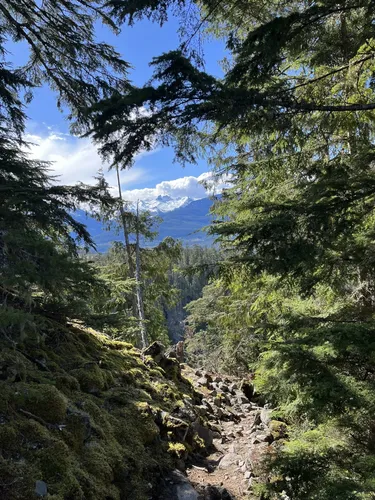 Best Lake Trails in Whistler Interpretive Forest | AllTrails