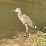 George Bush Hike and Bike Trail, Texas - 1,248 Reviews, Map | AllTrails