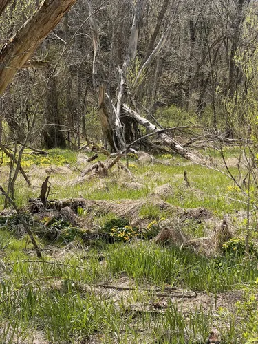 Best River Trails in Kickapoo Valley Reserve | AllTrails