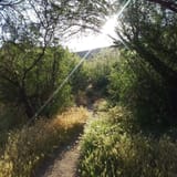 Second Water and Hackberry Spring Loop, Arizona - 2,009 Reviews, Map ...