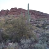 Second Water and Hackberry Spring Loop, Arizona - 2,009 Reviews, Map ...