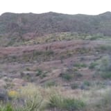 Second Water and Hackberry Spring Loop, Arizona - 2,008 Reviews, Map ...