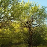 Second Water and Hackberry Spring Loop, Arizona - 2,009 Reviews, Map ...