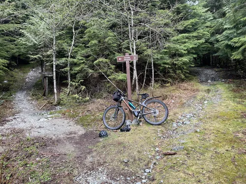 Best Hikes and Trails in Matsqui Triail Regional Park | AllTrails