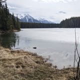 Johnson Lake, Alberta, Canada - 1,712 Reviews, Map | AllTrails