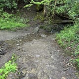 Grotto Falls via Trillium Gap Trail, Tennessee - 6,328 Reviews, Map ...