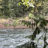 River Bend County Park Loop, Oregon - 21 Reviews, Map | AllTrails
