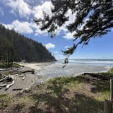 Short Sand Beach Trail, Oregon - 757 Reviews, Map | AllTrails