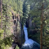 Toketee Falls, Oregon - 2,127 Reviews, Map | AllTrails