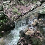 Whitaker Point Trail (Hawksbill Crag), Arkansas - 3,857 Reviews, Map ...