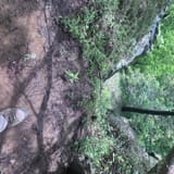 Whitaker Point Trail (Hawksbill Crag), Arkansas - 3,857 Reviews, Map ...