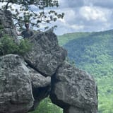 Whitaker Point Trail (Hawksbill Crag), Arkansas - 3,857 Reviews, Map ...