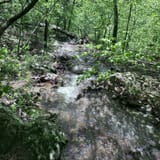 Whitaker Point Trail (Hawksbill Crag), Arkansas - 3,857 Reviews, Map ...