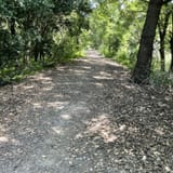 The Meadows Slough Trail, California - 449 Reviews, Map | AllTrails