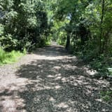 The Meadows Slough Trail, California - 449 Reviews, Map | AllTrails