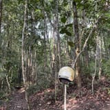 Youth Park - Astro Rock, Penang, Malaysia - 23 Reviews, Map | AllTrails