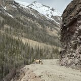 Cinnamon Pass Road via Animas Forks, Colorado - 96 Reviews, Map | AllTrails