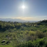 Neff's Canyon Loop, Utah - 2,477 Reviews, Map | AllTrails