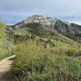 Neff's Canyon Loop, Utah - 2,477 Reviews, Map | AllTrails