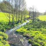 Surrey Three Peaks - Boxhill, Holmbury Hill, Leith Hill, Surrey ...