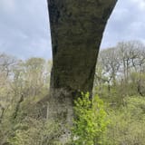 Beamish Park and Causey Arch Circular, County Durham, England - 461 ...