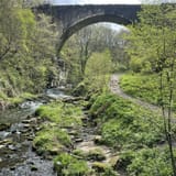 Beamish Park and Causey Arch Circular, County Durham, England - 461 ...