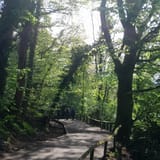 Yarrow Valley Country Park Circular, Lancashire, England - 327 Reviews ...