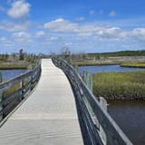Cedar Point Tideland Trail, North Carolina - 708 Reviews, Map | AllTrails