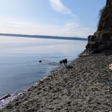 Marine View Park Loop Trail, Washington - 540 Reviews, Map | AllTrails